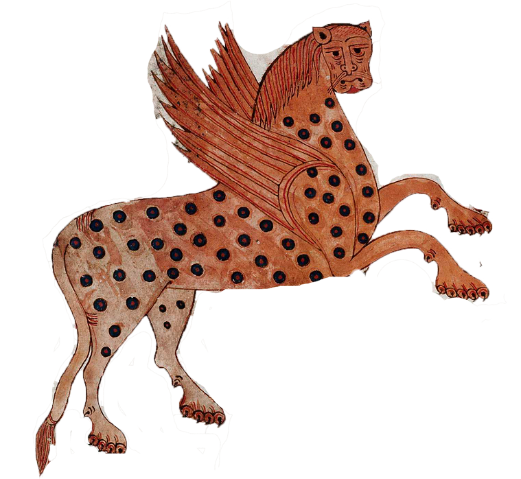 Home - Duplicate - [#8546] - Urraca Digital